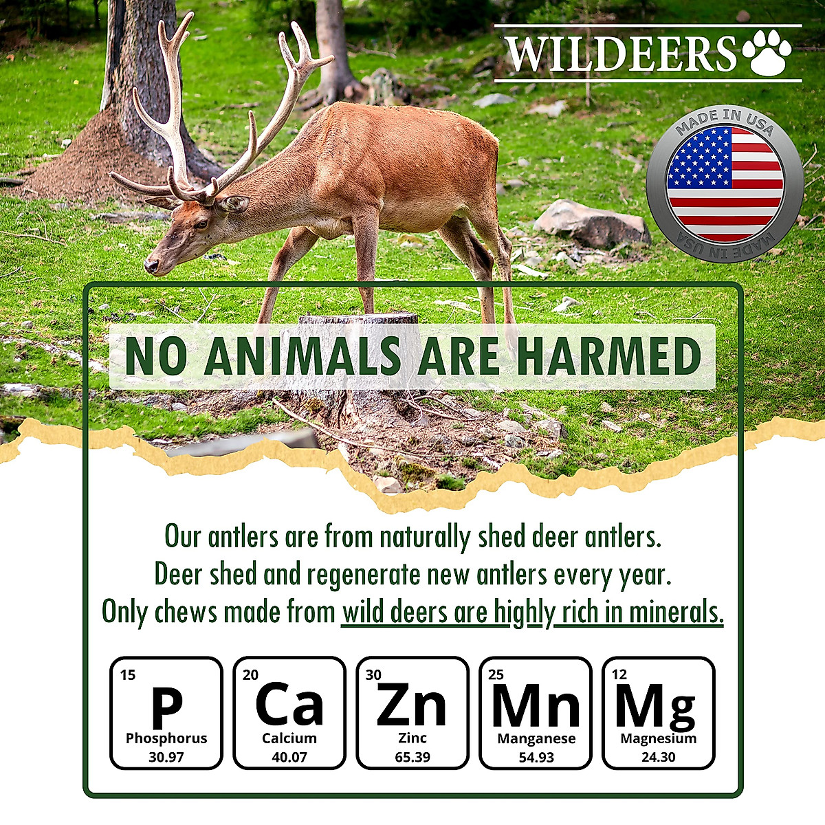 Wildeers Large Deer Antlers for Dogs - Premium Dog Antler Chews - Made in USA, Naturally Shed, Healthy Treat - Grade A, 7-9 in, 3 Pieces, Long Lasting Antler Chew Bones for Aggressive Chewers