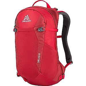 Gregory Mountain Products Men's Salvo 18 Liter Backpack, Tango Red, One Size