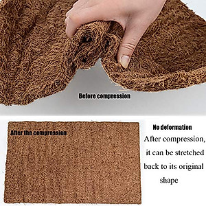Hamiledyi Reptile Carpet Natural Coconut Fiber Tortoise Carpet Mat for Pet Terrarium Liner Reptile Supplies for Lizard Snake Chamelon Turtle Bedding Bunny Rabbit Mat (2*Sheets)