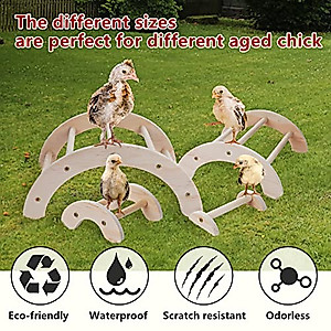 Chick Perch for Coop Brooder: Dorakitten 4Pcs Chicken Perch Stand Roosting Training, Chicken Coop Accessories Toys for Baby Birds Hens Parrots, Chicken Swing Toy Easy to Assemble and Clean