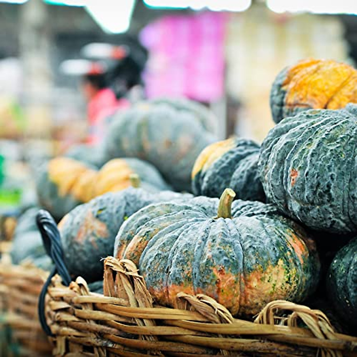 20 JAPANESE GREEN PUMPKIN SEEDS - Kabocha - Open pollinated, heirloom