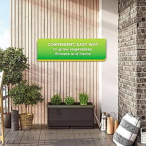 Bio Green JGL City Jungle Basic Model Plant Support, Charcoal Grey/Green