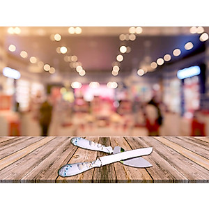 FASHIONCRAFT 2417 Beach Theme Wedding Knife and Cake Server Set – 1, Beach Wedding Favor, Cake Knife and Server Set