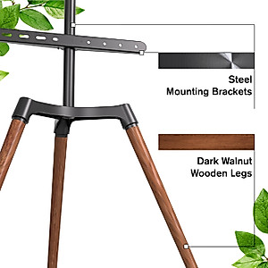 ProMounts Modern TV Floor Stand, Universal TV Mount with 90° Swivel, Corner TV Easel with Tripod Base for 47-72 Inches, LED LCD OLED Flat and Curved Screens