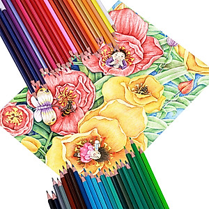 XKDOUS 48 Colored Pencils, Easy Sharpening Colored Pencil Set for Drawing Blending Shading, Gift for Art Beginners