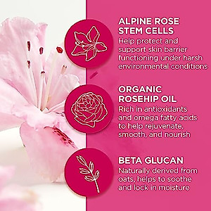 Andalou Naturals Lip Mask 1000 ROSES, Overnight Lip Sleeping Mask for Dry, Chapped Lips, Plumping, Hydrating & Soothing Lip Balm with Alpine Rose Stem Cells, Vegan & Cruelty-Free, 0.42 Oz