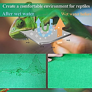HERCOCCI 2 Pack Reptile Carpet, 39’’ x 20’’ Terrarium Bedding Substrate Liner Reptile Cage Mat Tank Accessories for Bearded Dragon Lizard Tortoise Leopard Gecko Snake (Green)