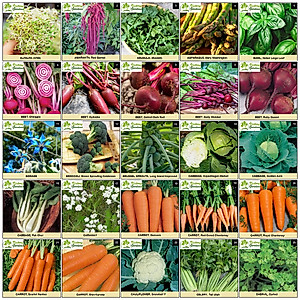 Garden Seeds Vegetable Variety Pack for Planting - Grow 125 Varieties of Heirloom Non GMO Quick Sprouting Veggies - Premium ​Seed Vault by Victory Gardens