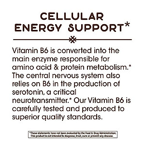 Nature's Way Vitamin B-6 Supplement, Cellular Energy Support*, 50mg per Serving, 100 Capsules