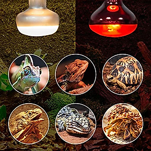REPTI ZOO 2 Pack 100W Reptile Heat Lamp Bulbs,Upgraded Reptile Day and Night Basking Spot Bulb Combo Amphibian Infrared Heat Lamp Bulb/UVA Basking Spot Daylight Heating Light Bulb