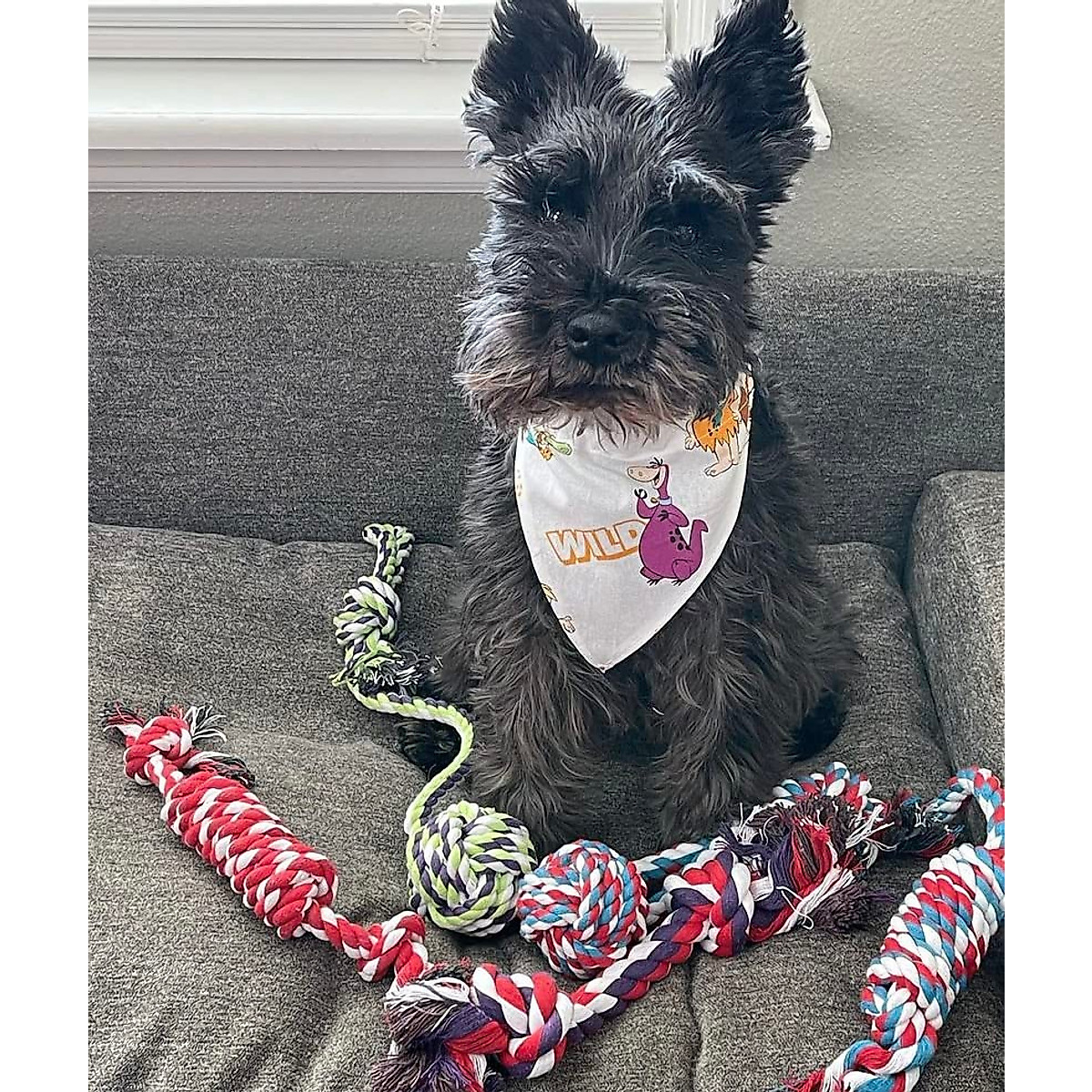 Pacific Pups Products for Dogs - Dog Toys for Aggressive Chewers, 11 Heavy Duty Dog Chew Toys for Aggressive Chewers, Cotton Puppy Chew Toys for Teething, Dogs Toys, Benefits Non-Profit Dog Rescue