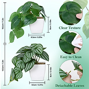 Waipfaru 2Pcs Fake Plants, Realistic Small Fake Plants, Faux Plants Indoor with Plastic Pots, Fake Potted Plants, Artificial Plant for Home Shelf Bathroom Kitchen Room Office Indoor Outdoor Decor