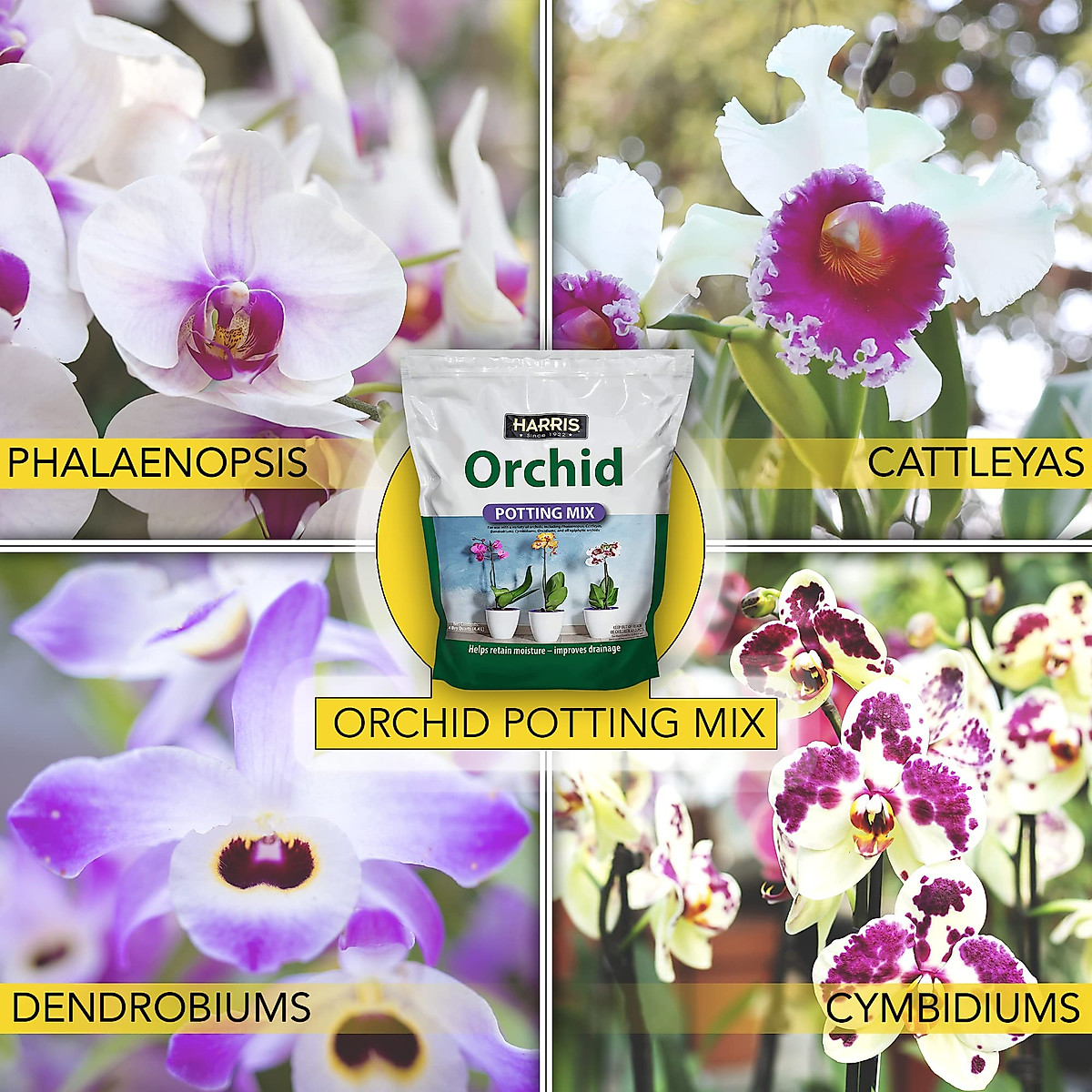 Harris Premium Orchid Potting Mix, Optimal Soil Mix for All Types of Orchids, 4qt, White