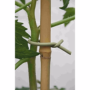 Tierra Garden 50-3010 Haxnicks Slim Soft Tie for Plants & Trees, 26.3', Green