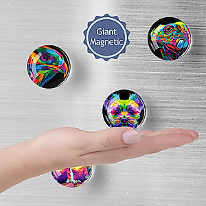 Famous Paintings Set Refrigerator Magnets, 7pcs World Masterpiece, Stylish Simple Glass Decorative Magnets for Fridge Decor