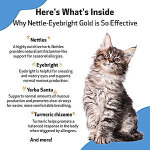 Pet Wellbeing Nettle-Eyebright Gold for Cats - Vet-Formulated - Seasonal Allergies, Hay Fever, Allergic Rhinitis - Natural Herbal Supplement 2 oz (59 ml)
