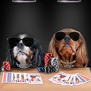 Windy City Novelties - 12 Pack - Playing Cards