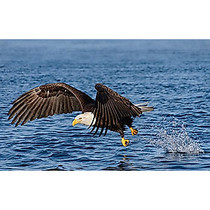 Sigma 18-250mm f3.5-6.3 DC Macro OS HSM for Canon (883101) (Renewed)