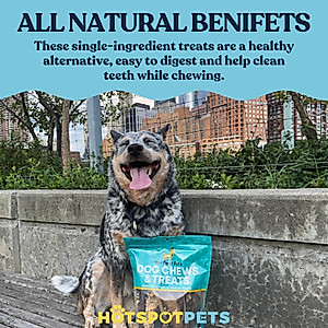 hotspot pets Braided Bully Sticks for Dogs -(12 Inch -10 Pack) All Natural Long Lasting Twisted Beef Pizzle Dog Chew Treats - Grain Free Fully Digestible Rawhide Alternative - 12 Inch Stix