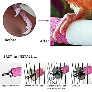 Rough-surfaced Bird Perch Beak Grinding Rod and Stainless Steel Safe Non-Toxic Durable Bird Stand for Parakeets, Conure and Other Small and Medium-Sized Birds 7.9" -Green