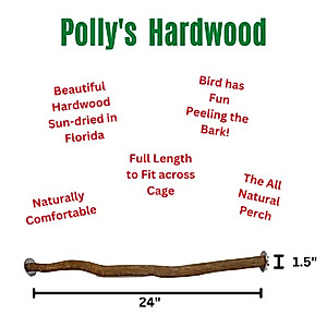 Full Length Perch 24"