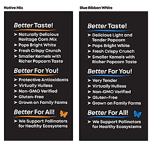 Black Jewell Popcorn Kernels 15 Ounces 15 Ounce (Pack of 4)