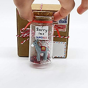Apology Gift for Her or Him I'm Sorry Funny Gag Gift for Girlfriend or Boyfriend Miniature in a Bottle. Unique (Regretful)