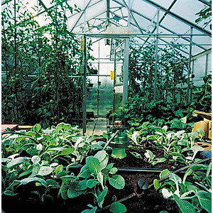 Blumat Medium Box Drip Irrigation System - Automatic Drip Irrigation Kits for Up to 12 Plants (12 Pack), Garden Watering System Up to 12 Plants - Irrigation System for Garden, Patio & Hanging Baskets