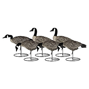 Dakota Decoys Signature Series Lesser Canada Goose Decoys, 6 Pack - A Rogers Exclusive