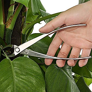 FECAMOS Knob Branch Cutter, Knob Bonsai Cutter Strong Tenacity Branch Cutter Ergonomic Handles for Cutting Bonsai Tree Burl for Making Circular Cocave Incision