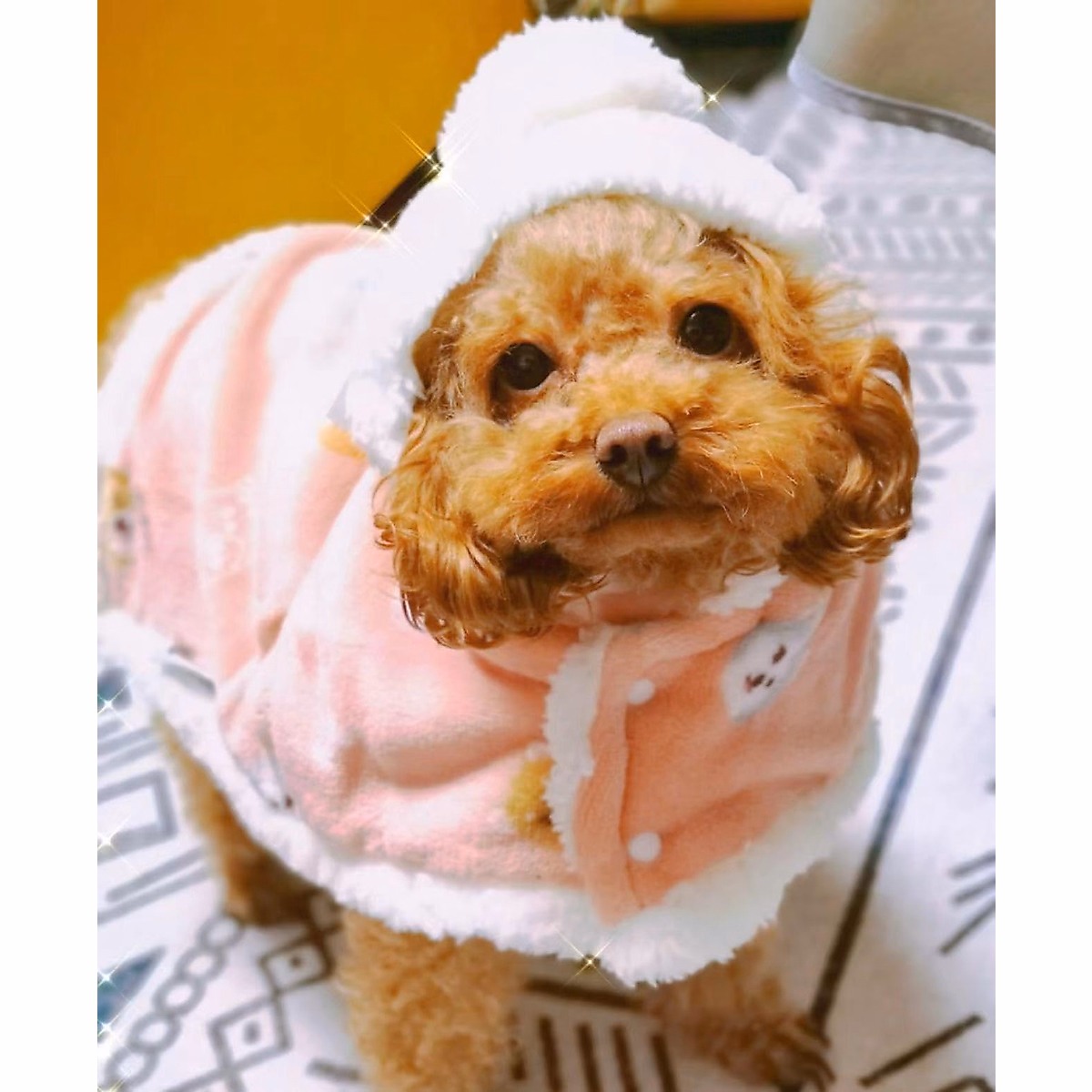 Fulvara Dog Clothes Fleece Winter Coat Warm Soft Dog Vest for Cold Weather,Flannel Blanket Throw Multi-use Pet Apparel for Small Medium Dogs & Cats (M Pink)