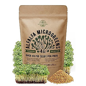 Alfalfa Sprouting & Microgreens Seeds - Non-GMO, Heirloom Seeds Kit in Bulk 4oz Resealable Bag for Planting & Growing Microgreens in Soil, Coconut Coir, Garden, Sprouting Tray, Hydroponic System