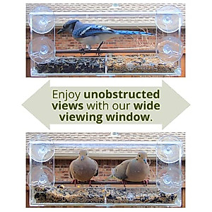 Nature's Envoy Window Bird Feeder – Clear View for Birdwatching - Strong Suction Cups for Outside - Slide Out Seed Tray w/Drain Holes for Easy Refill & Clean - Acrylic Outdoor Feeder for Wild Birds
