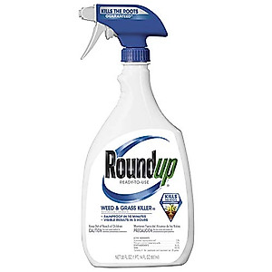 Roundup 5003410 Weed and Grass Killer III Ready-to-Use Trigger Spray, 30-Ounce
