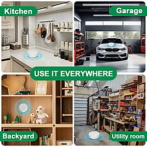 6 Pack Peppermint Mouse Repellent - Rat Repellents for Outdoor Car Engines Garages House, Rat Deterrent, All Pest Repellent for Mice, Rats, Snake, Squirrel