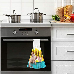 Funny Pig Sunflower Hanging Kitchen Towels Autumn Blue Board Hand Towel 2PCS Dish Cloth Tie Towel Absorbent Oven Stove Washcloth with Loop for Bathroom Home Decorative