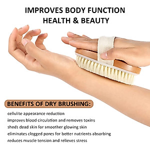 SetSail Dry Brushing Body Brush, Natural Nylon Bristles, Exfoliating, Cellulite Reduction, Lymphatic Drainage, Improve Circulation