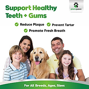 Dog Teeth Cleaning Powder - Dog Plaque and Tartar Remover - Dental Powder for Dogs Teeth with Bactase PET - Dog Breath Freshener to Help Overall Dog Dental Care - Ideal for Mouth, Teeth and Gum Health