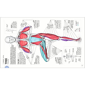 Science of Yoga: Understand the Anatomy and Physiology to Perfect Your Practice (DK Science of)