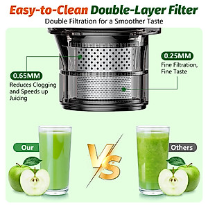 LQZ Cold Press Juicer,Slow Masticating Juicer Machines,350W Juice Extractor Machine,5.3" Large Bore Feed Chute Fit Whole Vegetables and Fruits,Easy to Clean Juicer（Black）