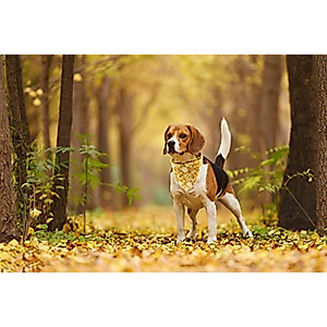 lionet paws Dog Bandana for Small Medium Large Dogs, Cat Dog Kerchief Dog Triangle Bibs Scarf for Girl Boy Gift