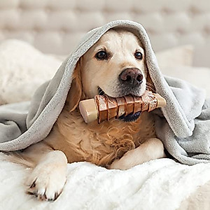 Nocciola Dog Chew Toy for Aggressive Chewers, Real Beef Flavor, Durable Nylon & Rubber Toy for More Than 30 Pounds Medium & Large Breed, Tough Toys for Training and Cleaning Teeth