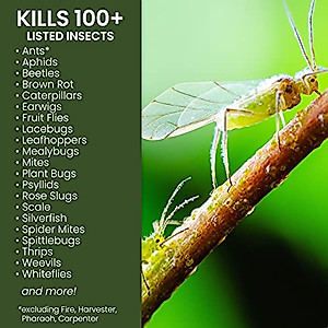 NATRIA Insect, Disease and Mite Control, Ready-to-Use, 24 oz