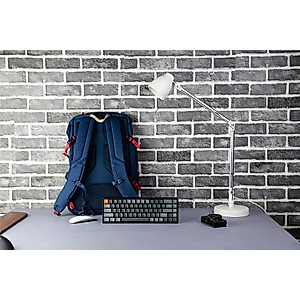 Keychron K6 Hot Swappable Wireless Bluetooth 5.1/Wired Mechanical Gaming Keyboard, 65% Compact 68-Key RGB LED Backlit N-Key Rollover, Aluminum Frame for Mac Windows Gateron G Pro Red Switch