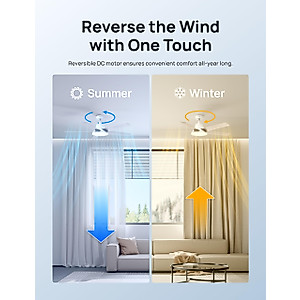 Dreo Smart Ceiling Fan with Lights, 52 Inch, 12 Speeds & 3 Fan Modes, Stepless Color Tones, Dimmable LED Light, 12H Timer, Quiet DC Motor, Remote/APP/Alexa Control, White Ceiling Fans Indoor