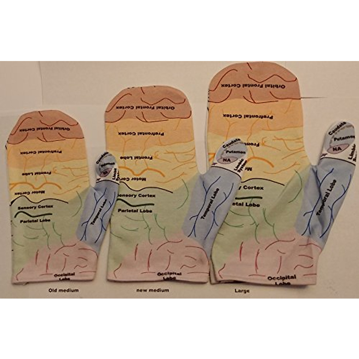 Handy Brain Model B-2 (large)