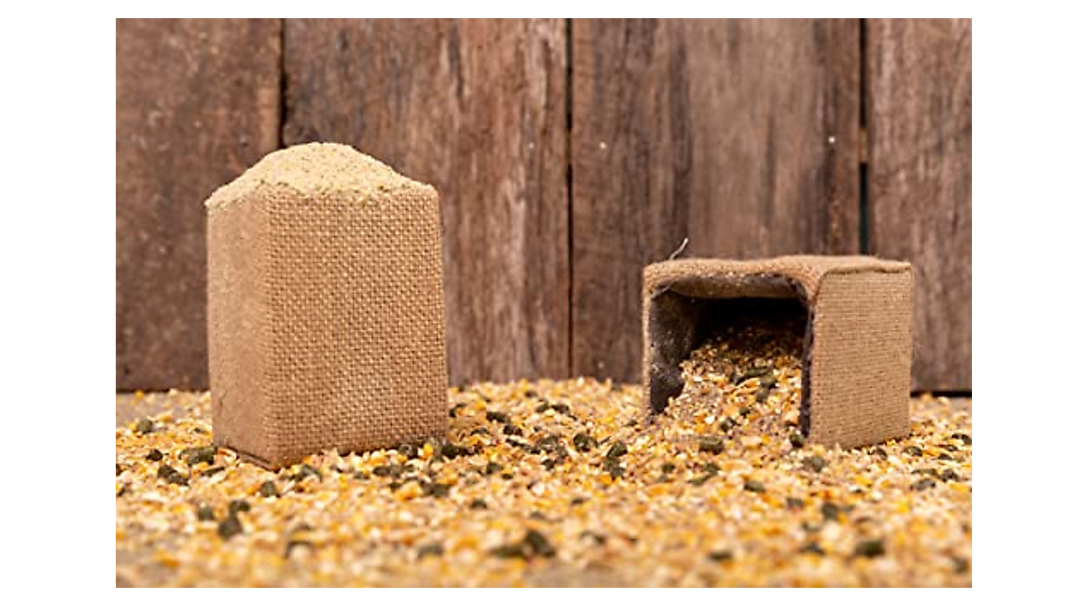 G&T Dubia Roach Starter Kit: Perfect for Breeding Insects