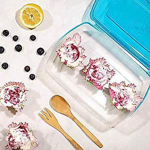 Mr. Lid Premium Attached Storage Containers | Permanently Attached Plastic Lid, Never Lose | Space Saving (7 piece set)