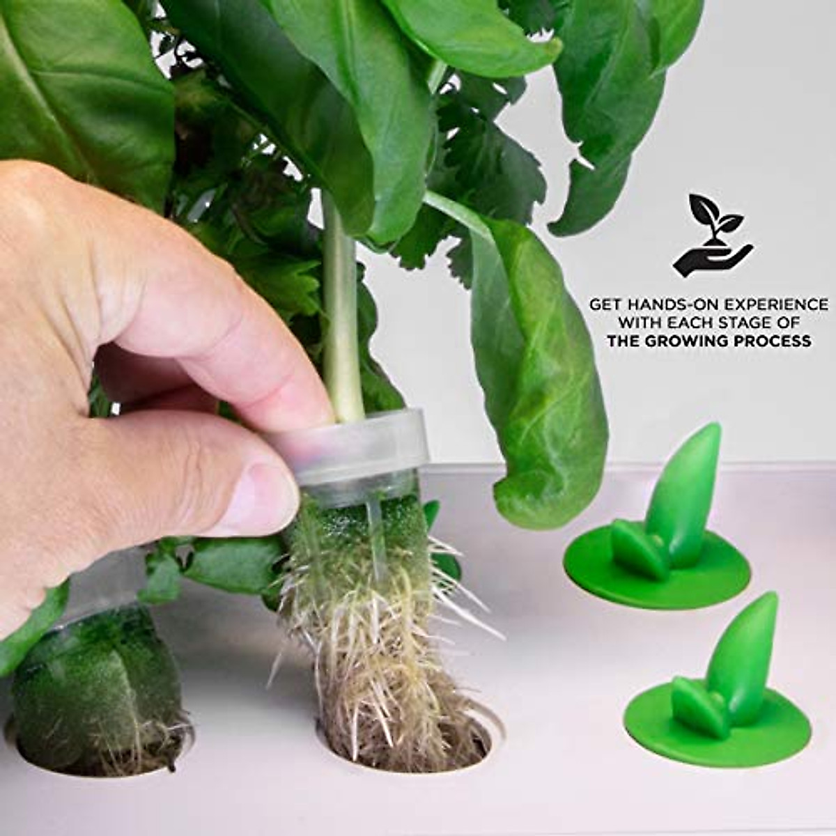 Ivation Herb Indoor Garden Kit | Complete Hydroponic Grow System for Herbs, Plants & Vegetables with LED Light, Seeding Box & Sponge Cubes, Planting Pods & Hats, Nutrients & Tweezers | Just Add Seeds!