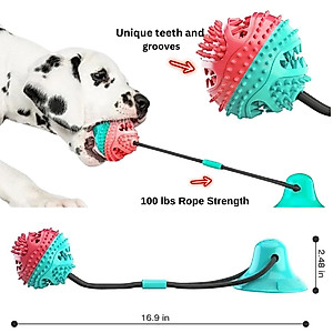 CharTess LLC Bundle -Interactive Dog Ball Combined with Bone-Shaped Chew Toy. Alleviate Separation Anxiety and Boredom, Puppy Teething Chew Toy, Toys to Improve Canine Dental Health